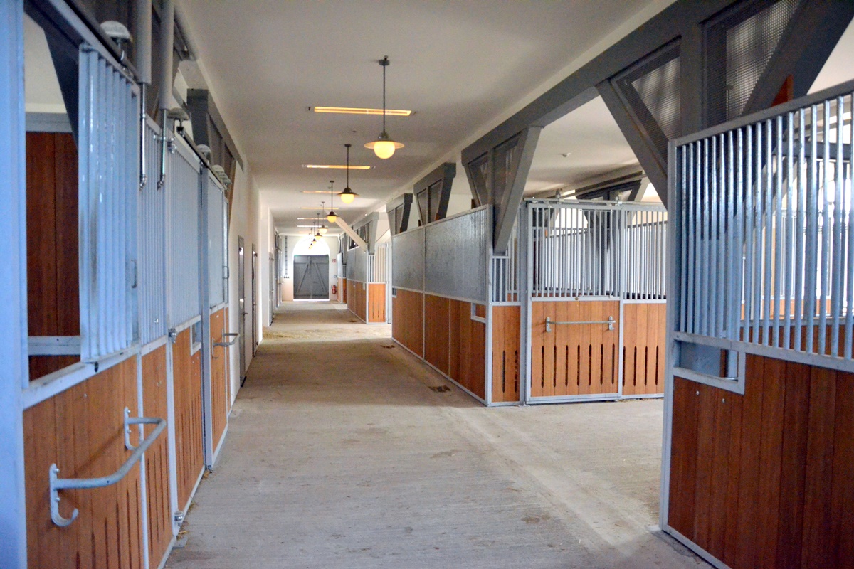 Stall 3, Stallgasse - Landgestüt Redefin